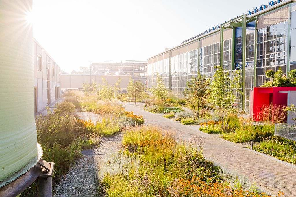 Strijp -T Glasgebouw | Siebers Groep - A touch of gold