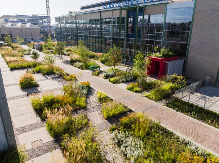 Strijp -T Glaslaboratorium | Siebers Groep - A touch of gold